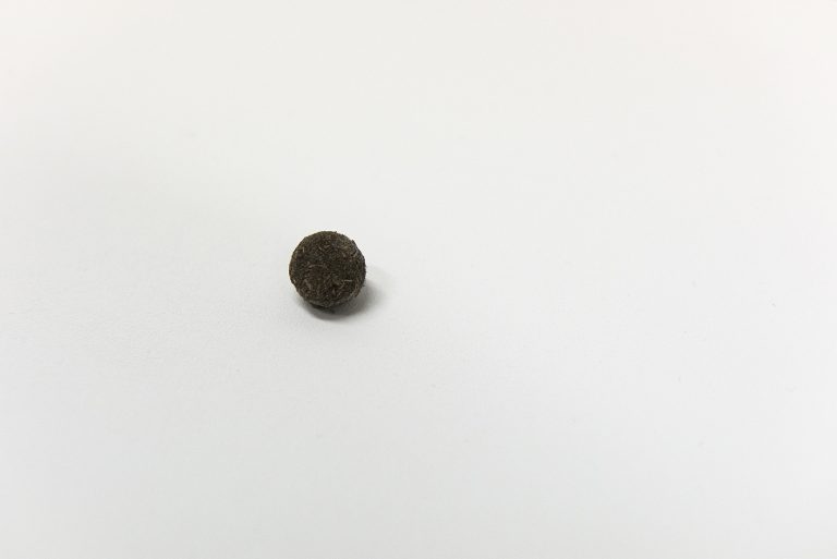 Nagrada skupine OHO 2017 za mladega vizualnega umetnika podeljena ...